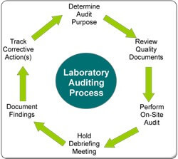 Laboratory-Auditing-Process - Environmental Standards, Inc.
