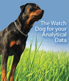 Data Validation - Environmental Standards, Inc.