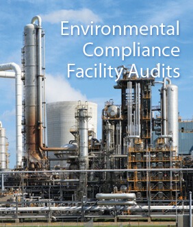 Auditing - Environmental Standards, Inc.